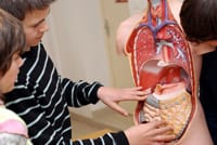 Quelle différence entre Complexe et Compliqué ? - Facilitation ...